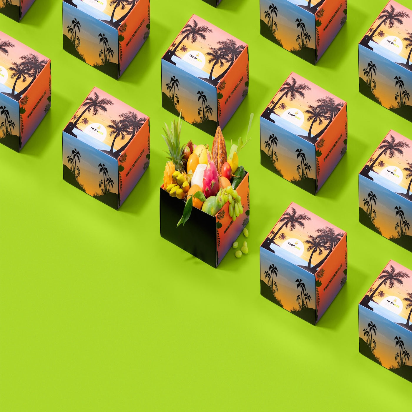 TropiBox: Explore Exotic Flavours & Fruits Delivered to Your Doorstep